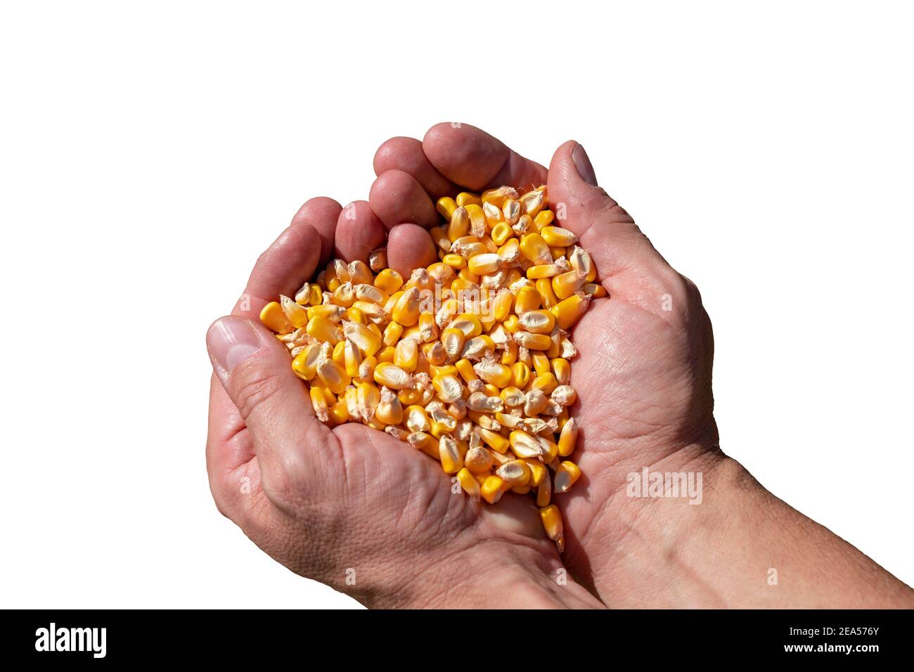 Rough hands hi-res stock photography and images - Alamy