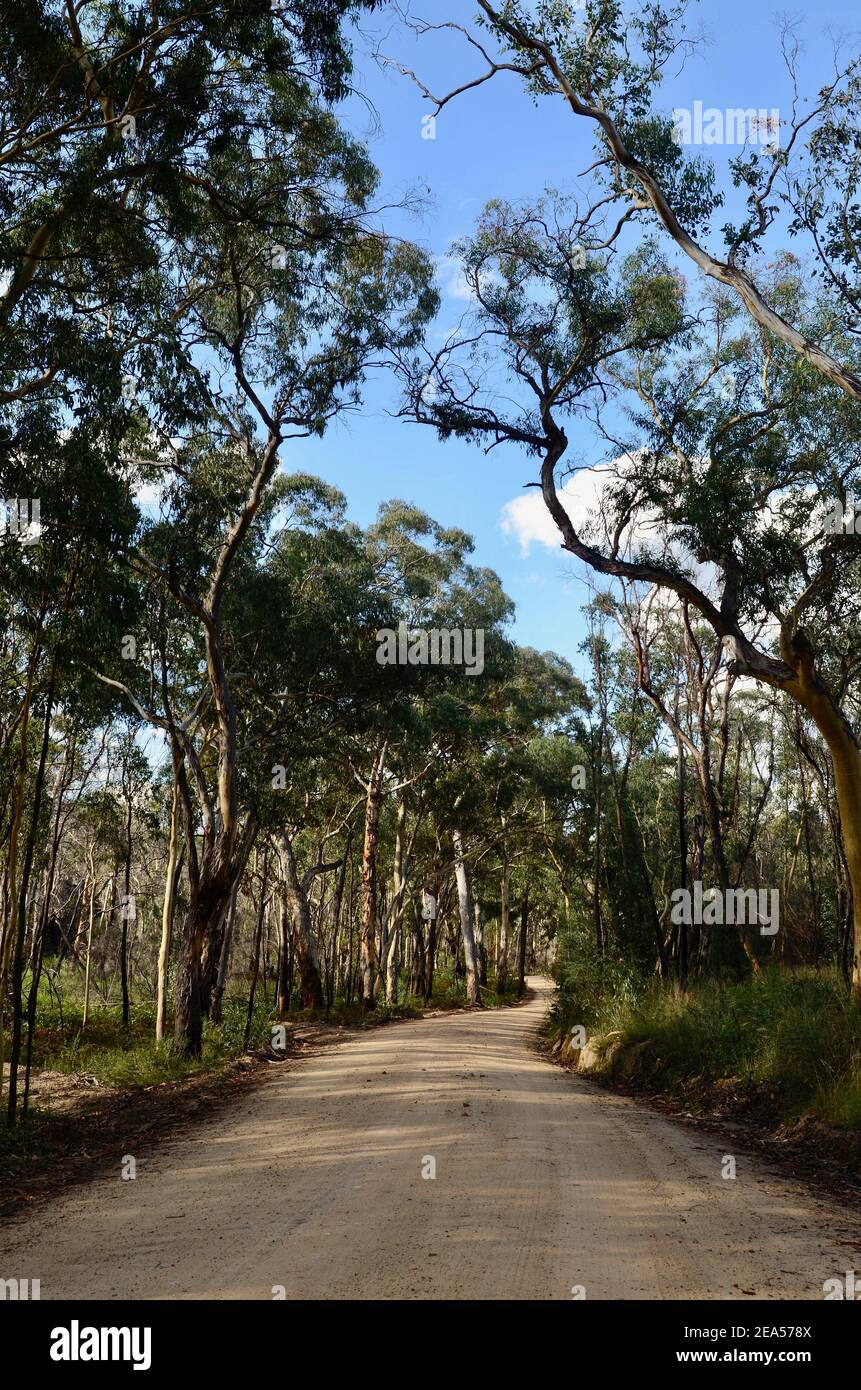 Wollemi national park camping hi-res stock photography and images - Alamy