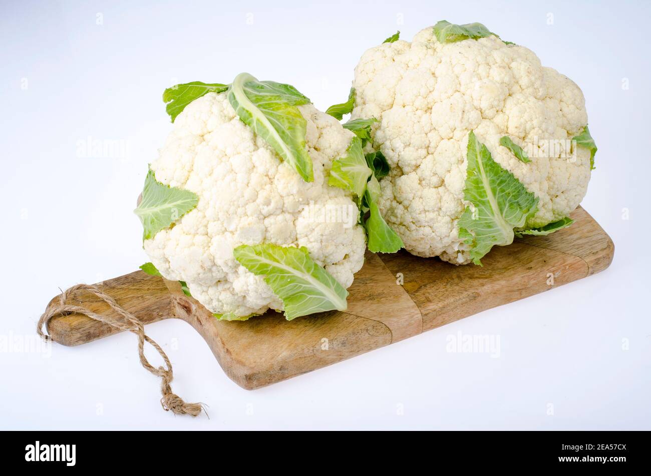 Fresh head of cauliflower on white background. Studio Photo Stock Photo ...