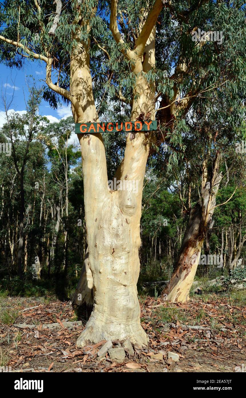 Mudgee australia hi-res stock photography and images - Alamy