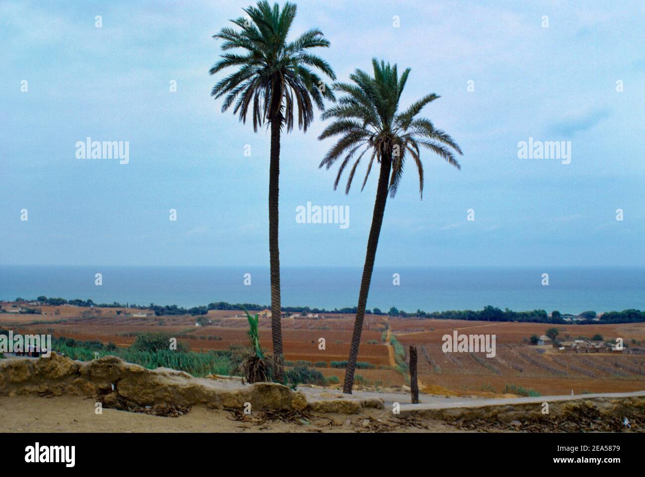 Coast of algeria hi-res stock photography and images - Alamy