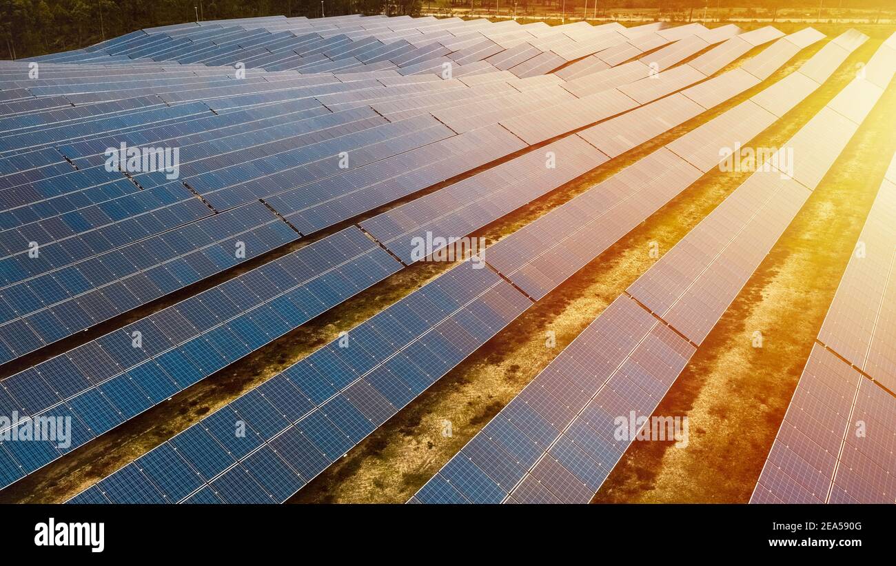 Aerial view of solar panels at sunset or sunrise. Photovoltaic ...