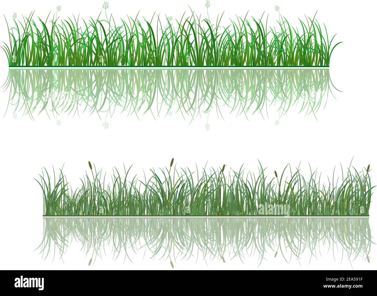 Green grass patterns with reflections for environment or ecology design ...