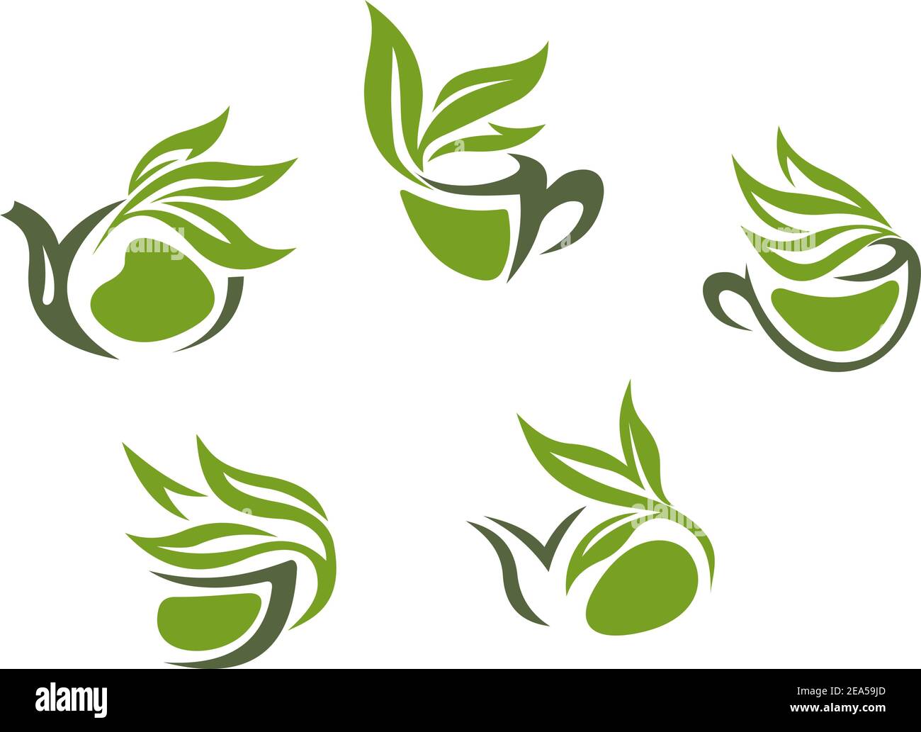Symbols of green herbal tea isolated on white background Stock Vector ...