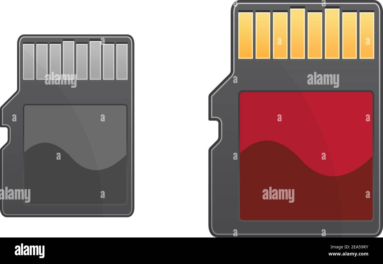 Compact memory card isolated on white background Stock Vector Image ...