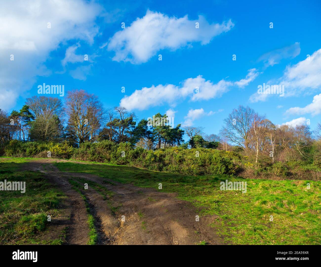 Landscape view of Hampstead Heath with blue sky and clouds. Silver ...