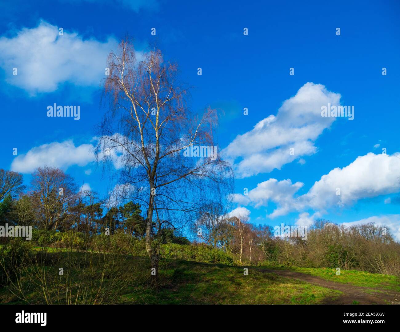 Landscape view of Hampstead Heath with blue sky and clouds. Silver ...