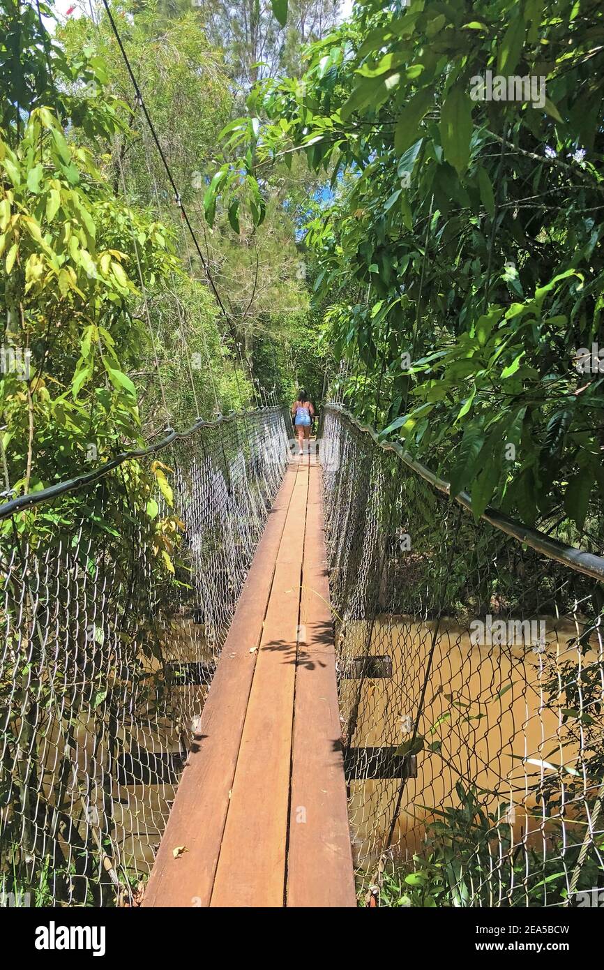 Wildlife bridge australia hi-res stock photography and images - Alamy