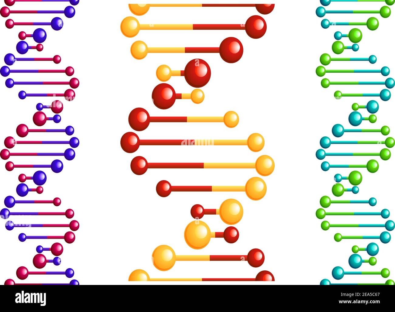 Evolution genetically Stock Vector Images - Alamy