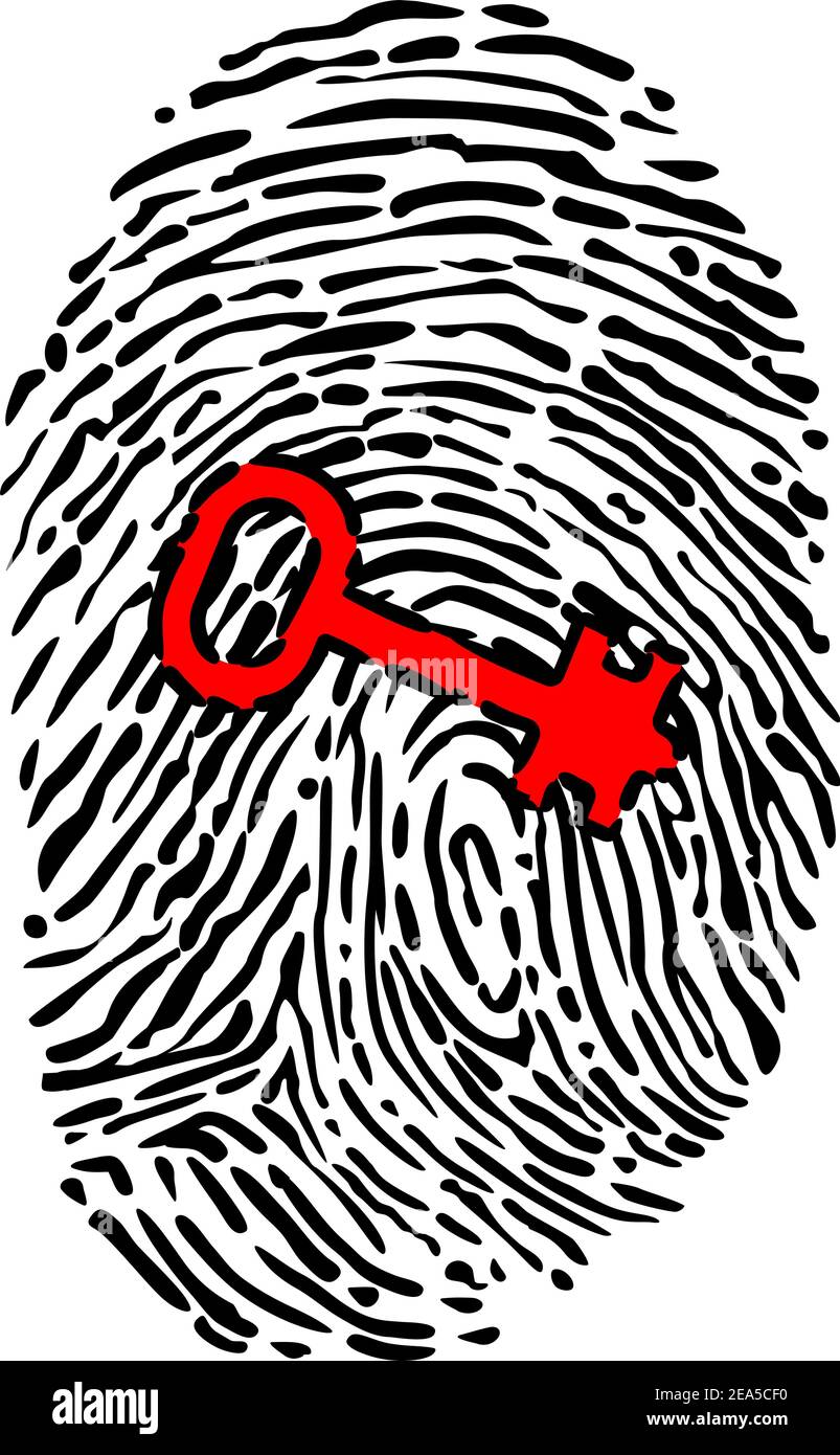 Security concept with fingerprint and key isolated on white background ...