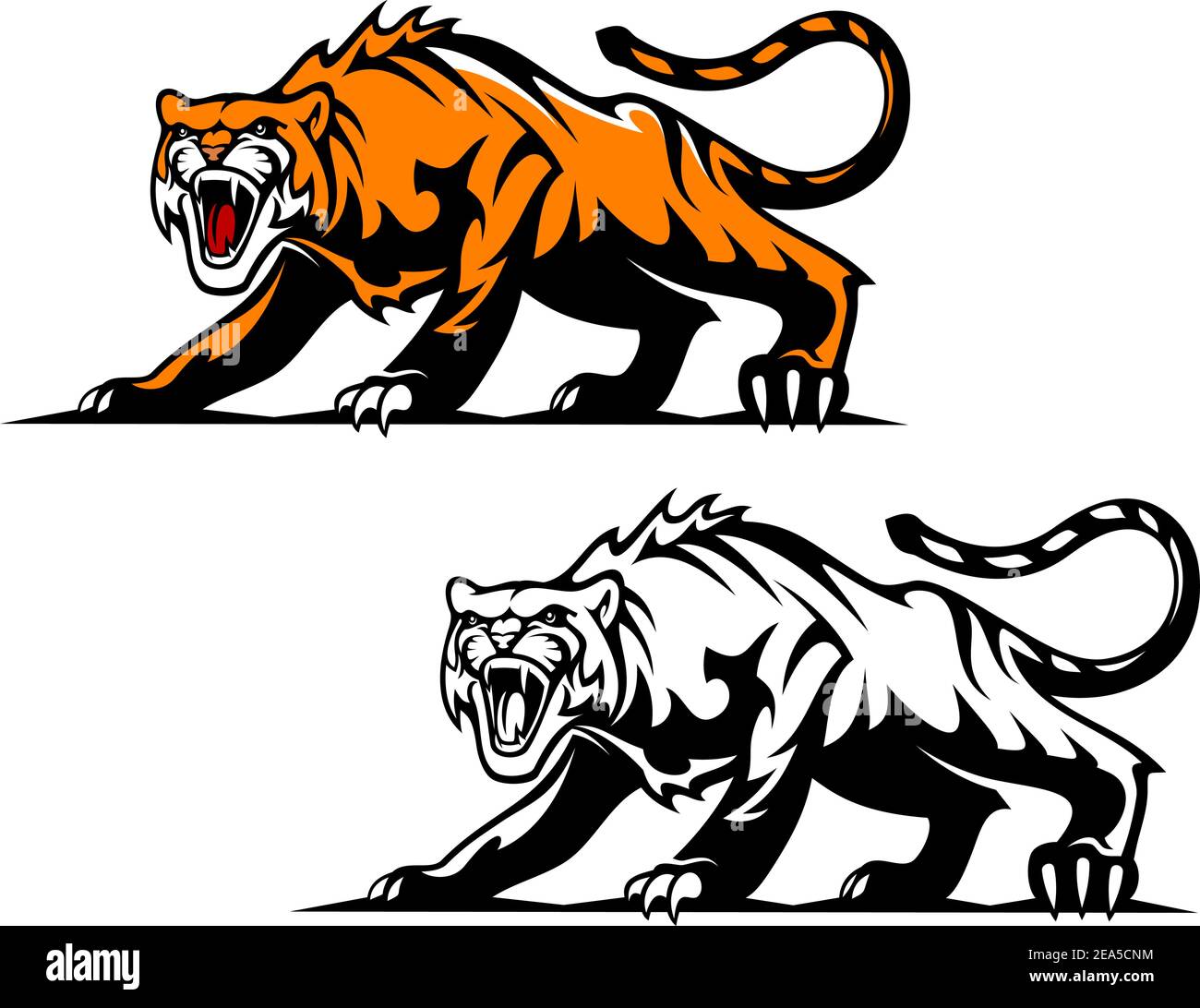 Siberian tiger hunting Stock Vector Images - Alamy