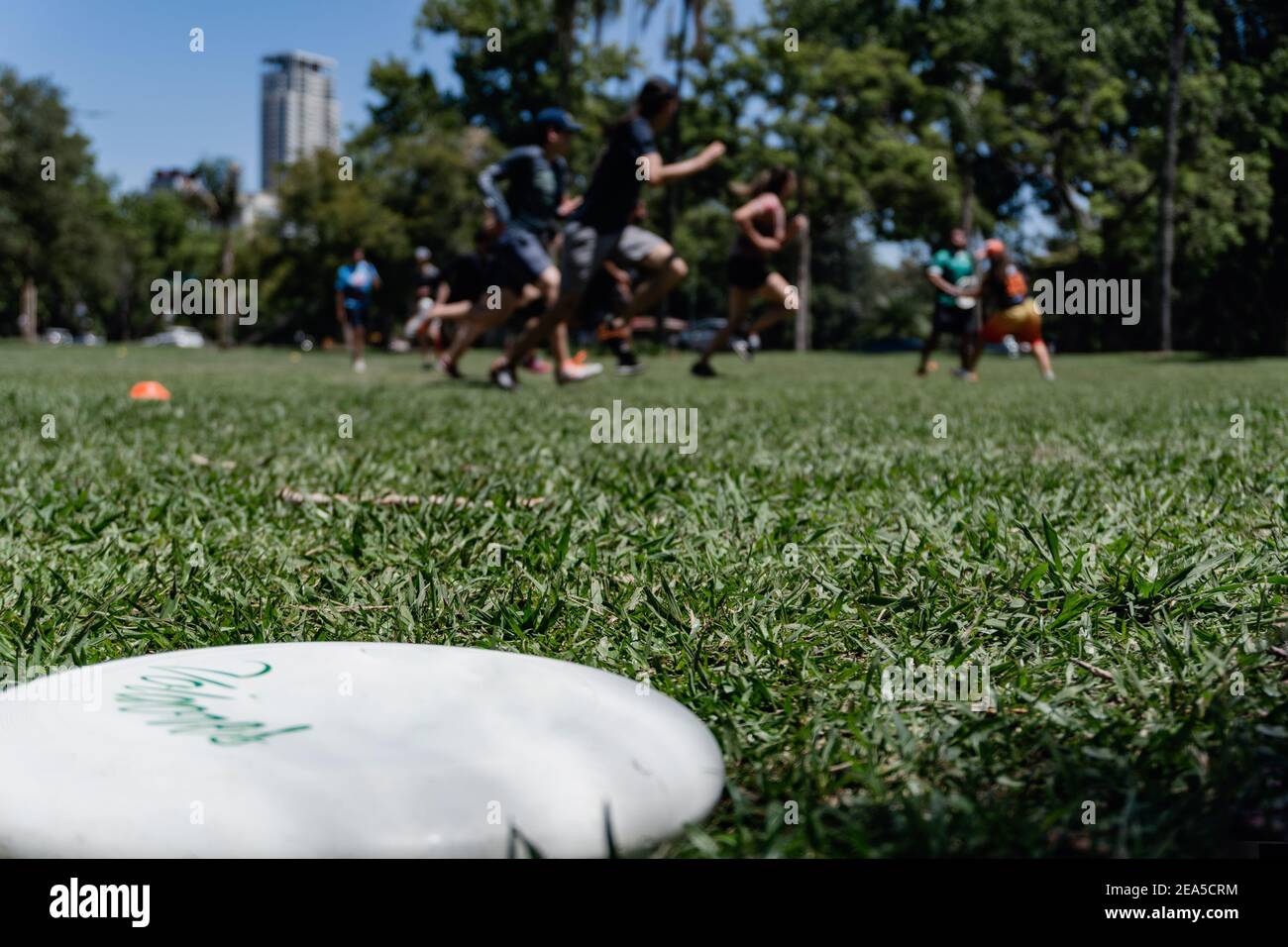 Professional frisbee hi-res stock photography and images - Alamy