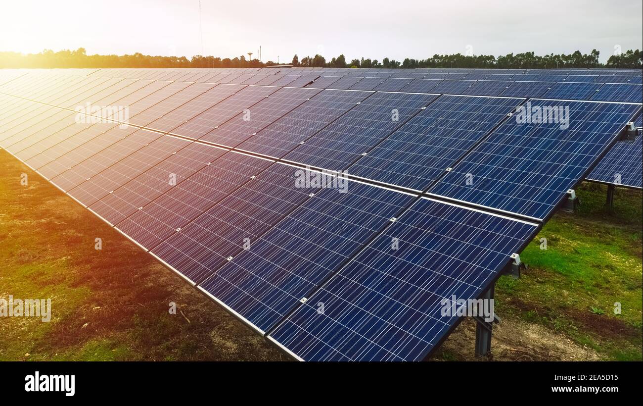 Solar panels at sunset or sunrise. Photovoltaic, alternative ...
