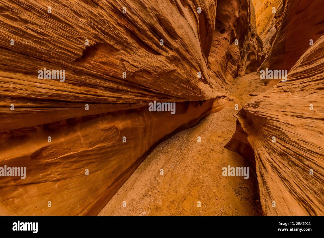Navajo Sandstone formations of the narrows within Little Wild Horse ...