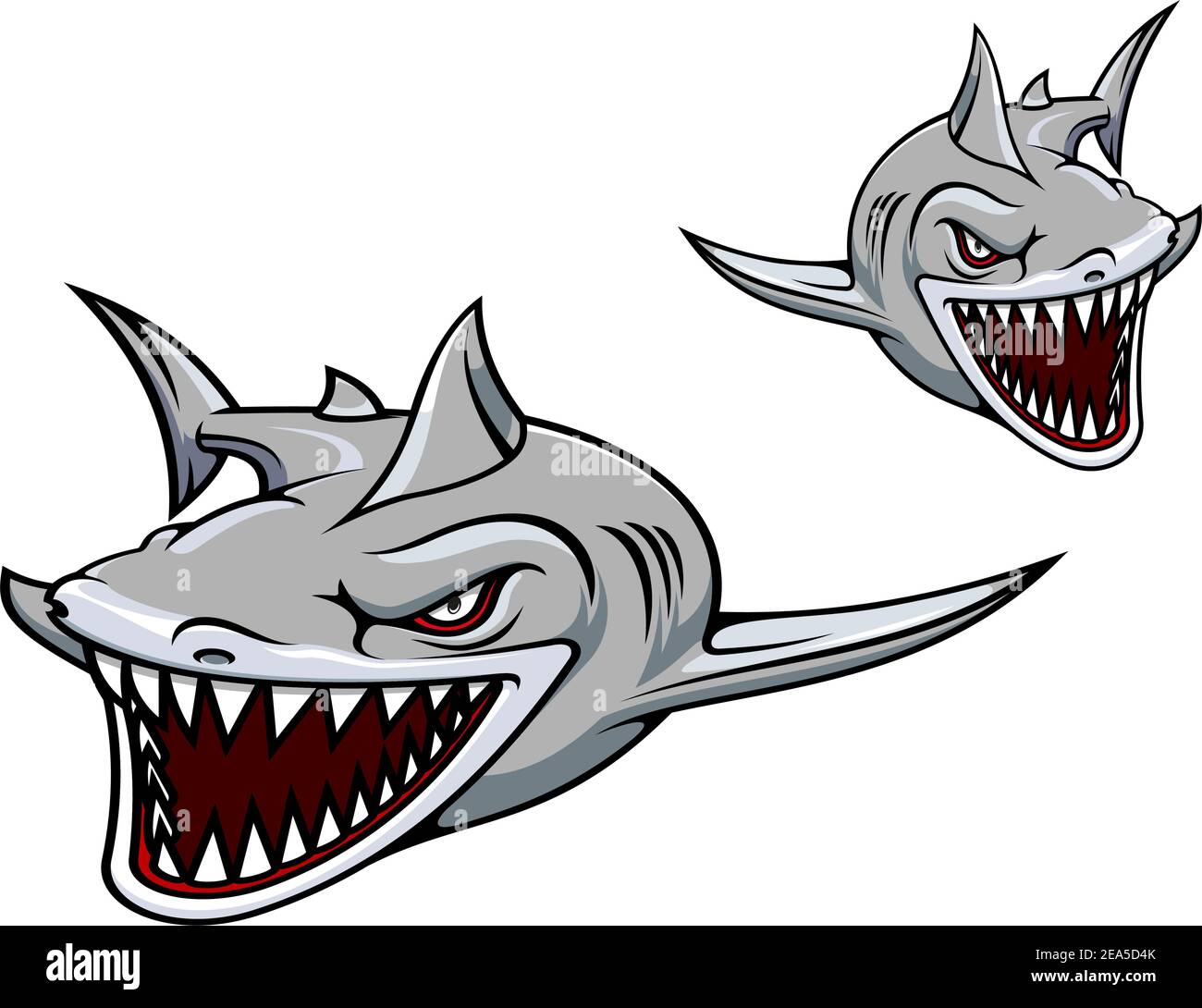 Danger gray shark with sharp teeth. Vector illustration for sport team ...