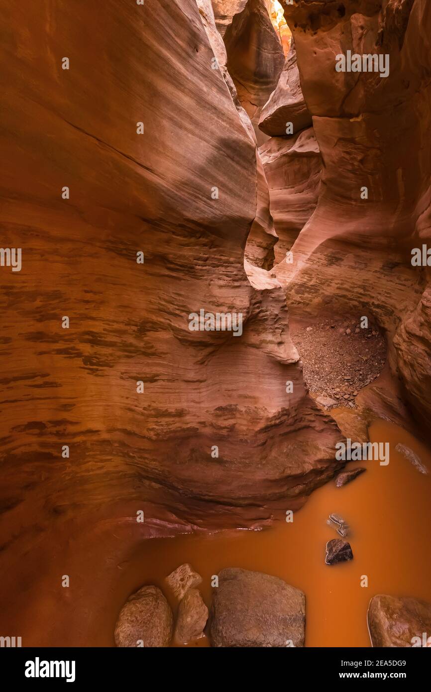 Navajo Sandstone formations of the narrows within Little Wild Horse ...