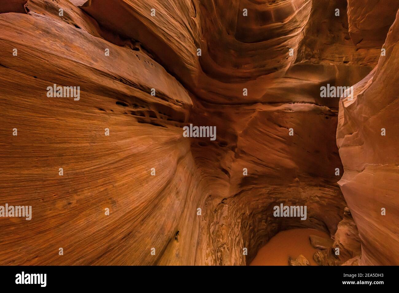 Navajo Sandstone formations of the narrows within Little Wild Horse ...