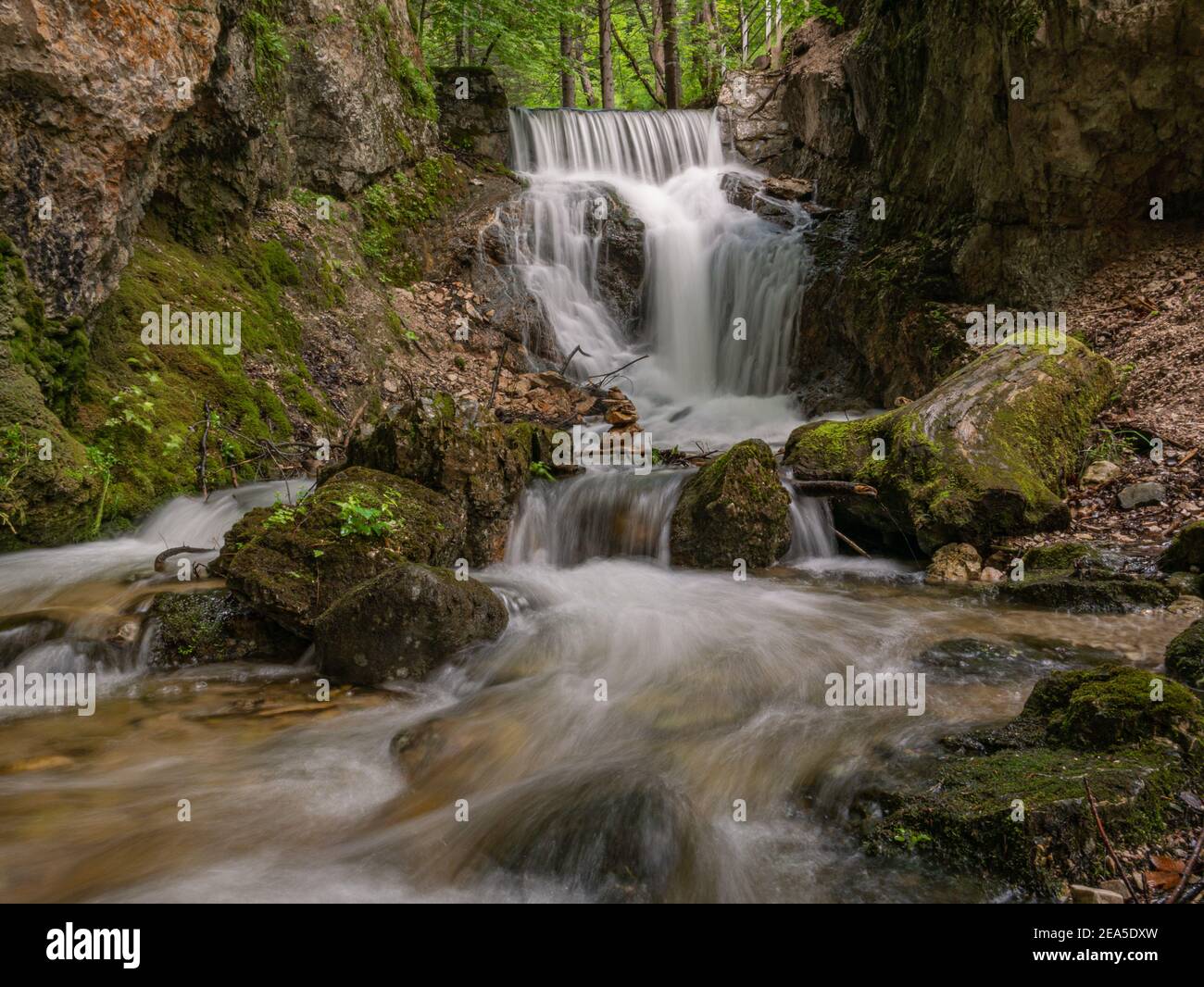 Cascades in forest hi-res stock photography and images - Alamy