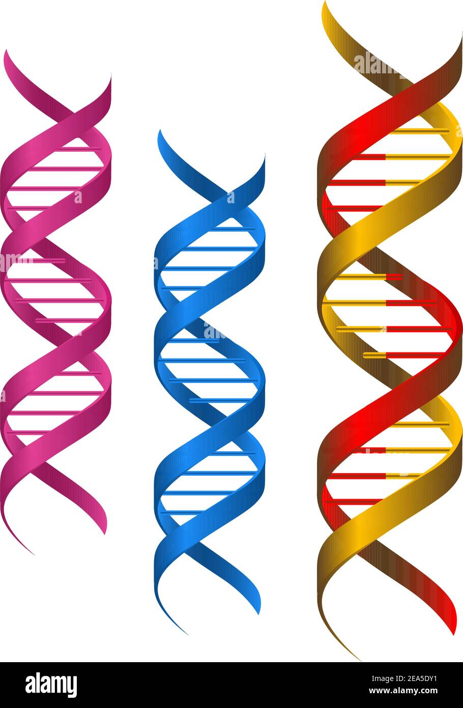 DNA elements and molecules for science and medicine design Stock Vector ...