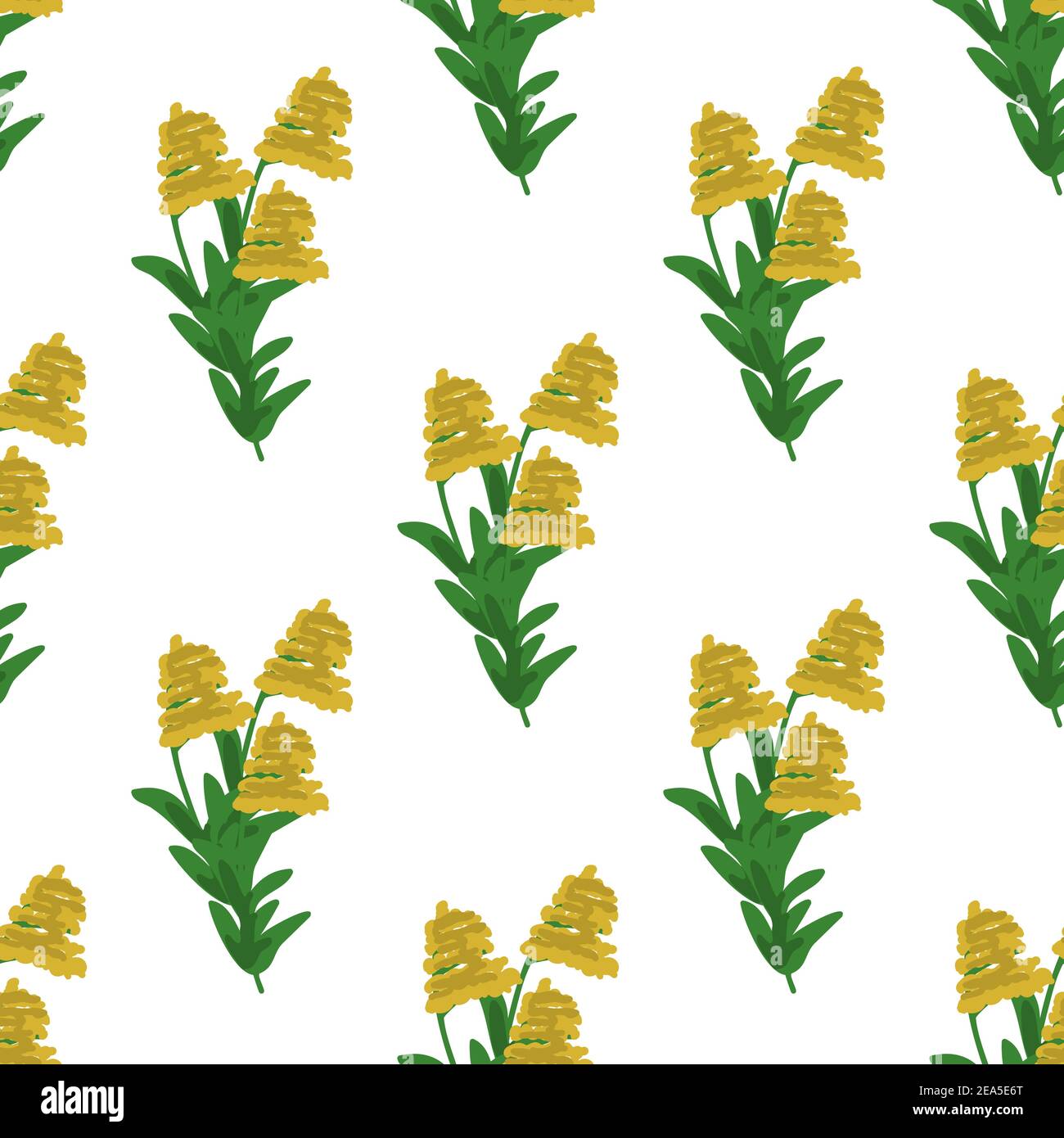 Goldenrod blossom Stock Vector Images - Alamy