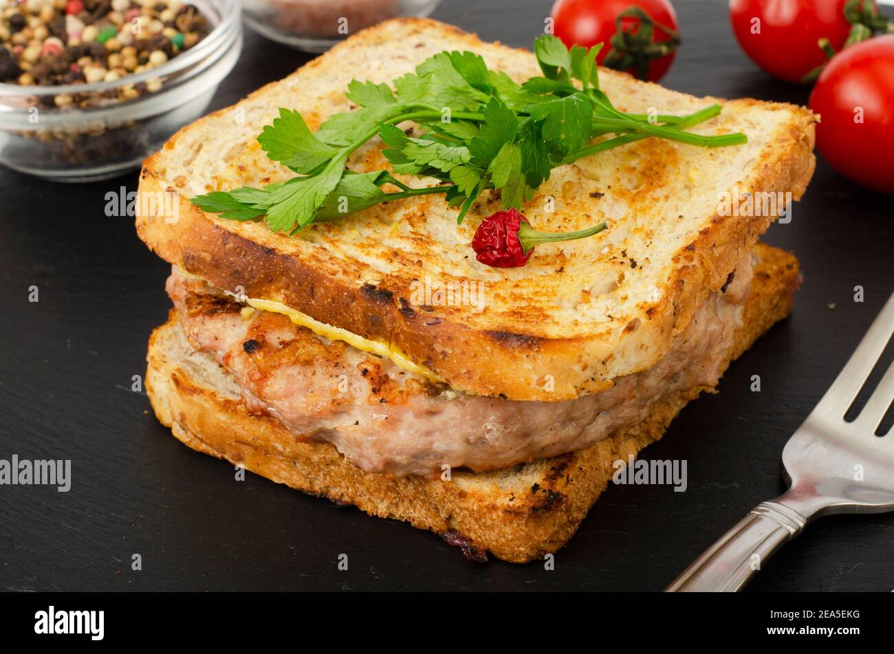 Burger with beef cutlet and grilled toast bread. Studio Photo Stock ...