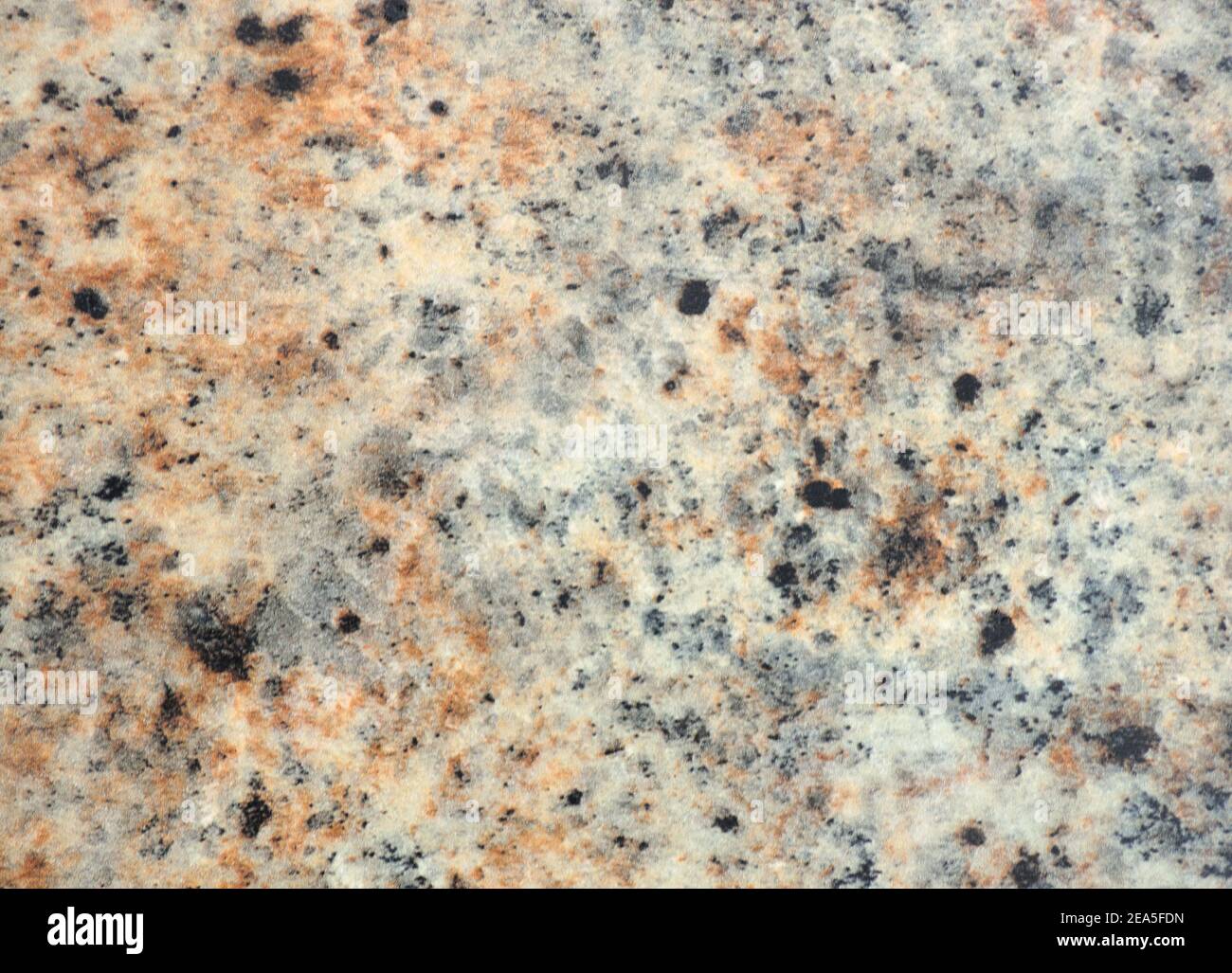 Speckled gray-brown granite, flat polished surface of natural stone ...