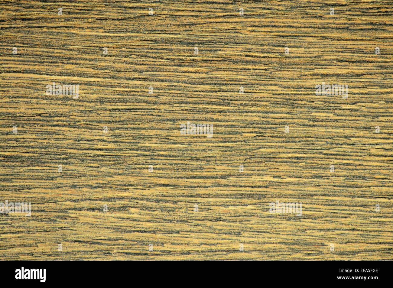 Light striped walnut, natural wood close-up. Background, pattern ...