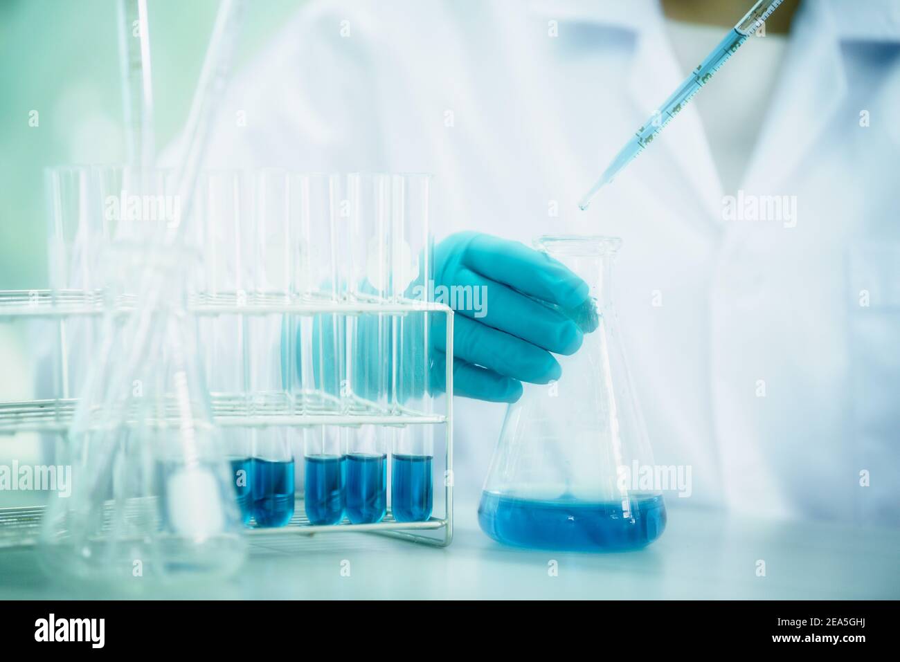 Doctor or scientist using pipette to drop a sample to test plate in ...