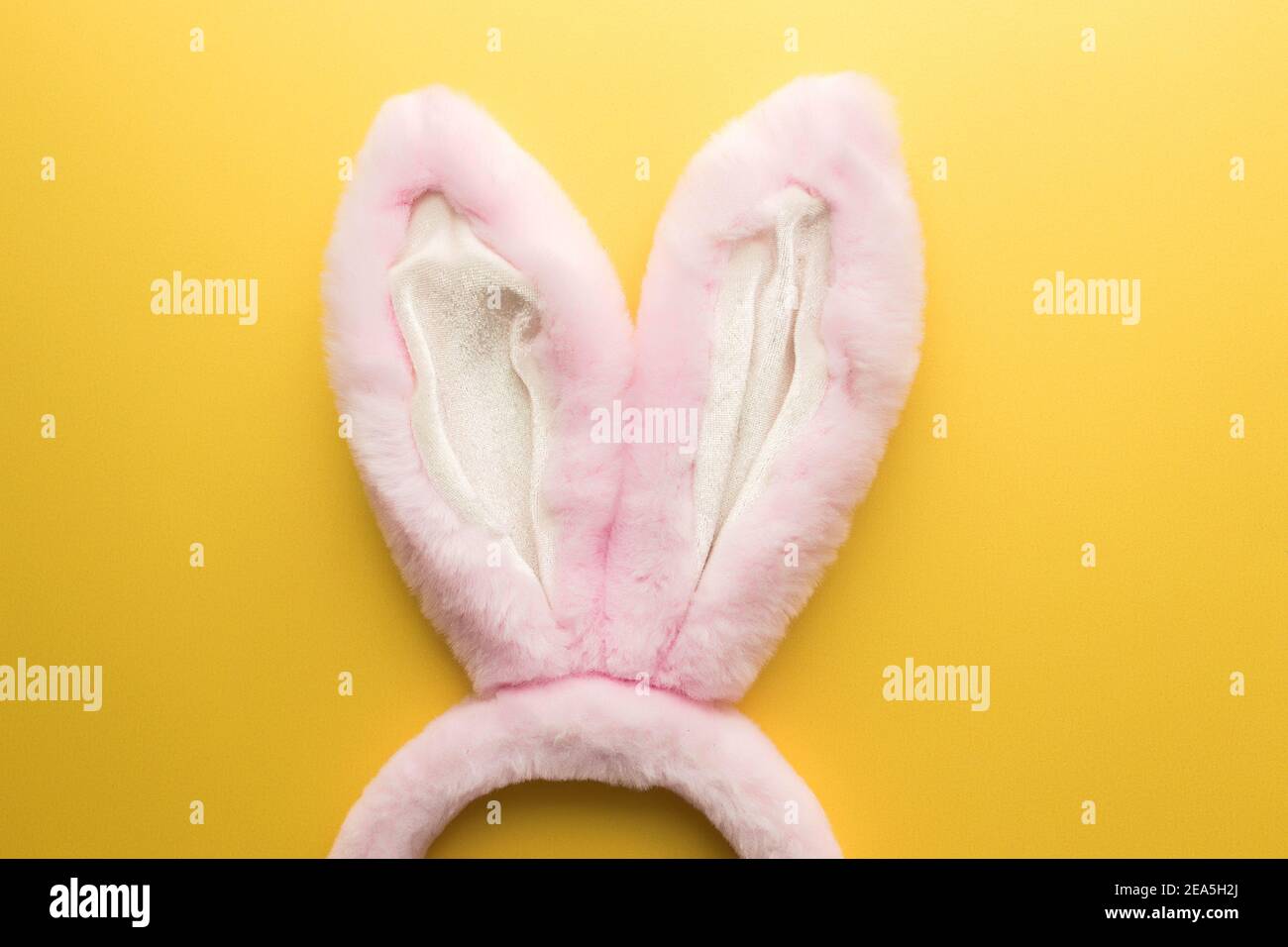 Pink easter bunny hi-res stock photography and images - Alamy
