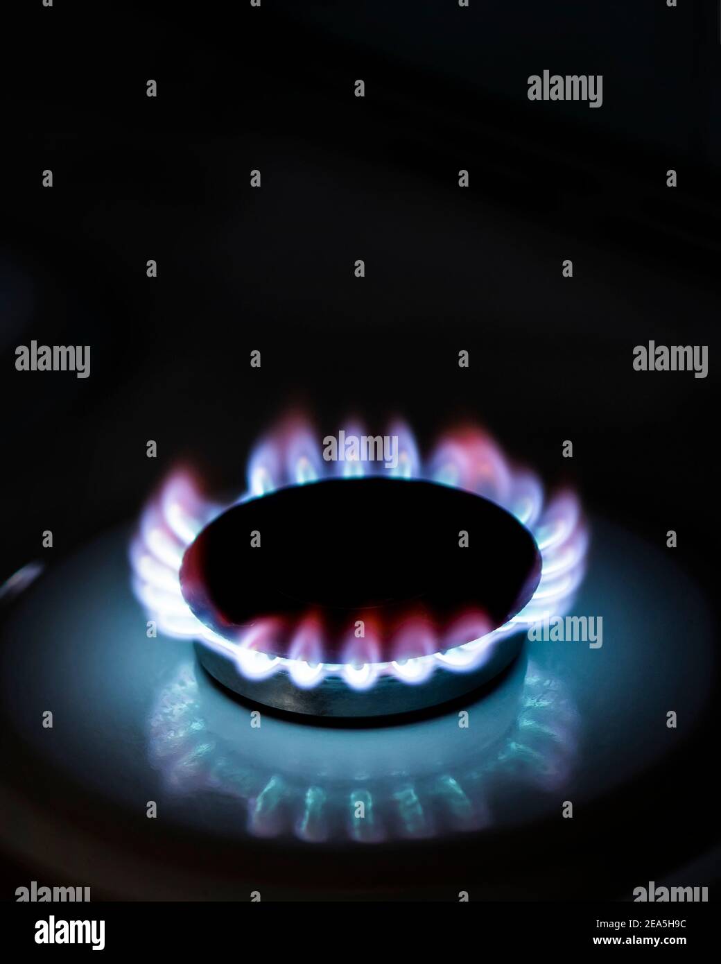 Blue propane gas burns on the kitchen gas stove. Selective focus ...