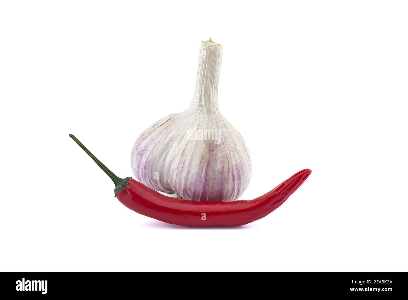 Garlic bulb and fresh small red chili pepper in close-up isolated on ...