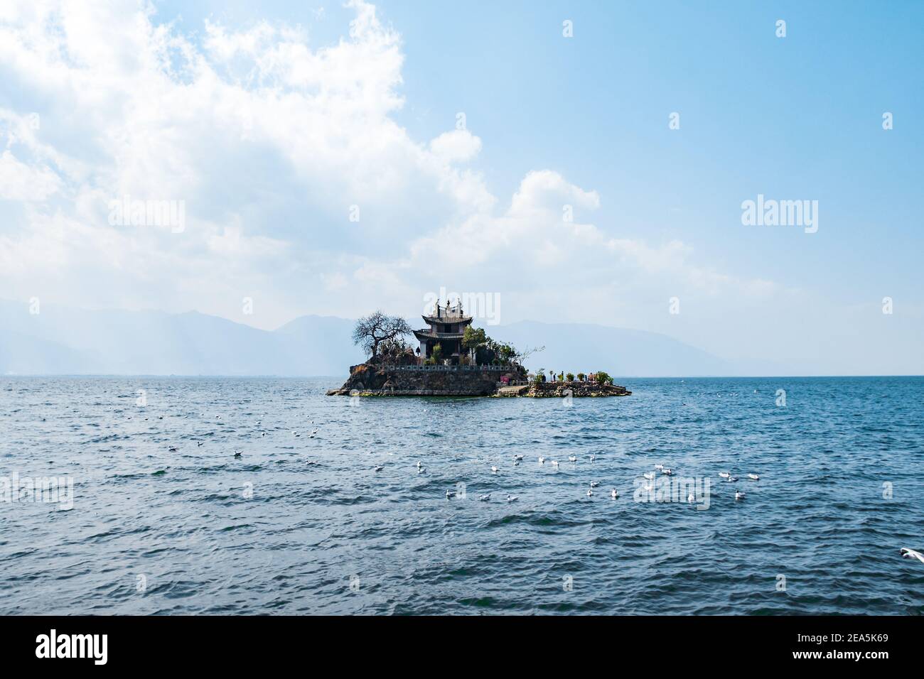 Little putuo hi-res stock photography and images - Alamy