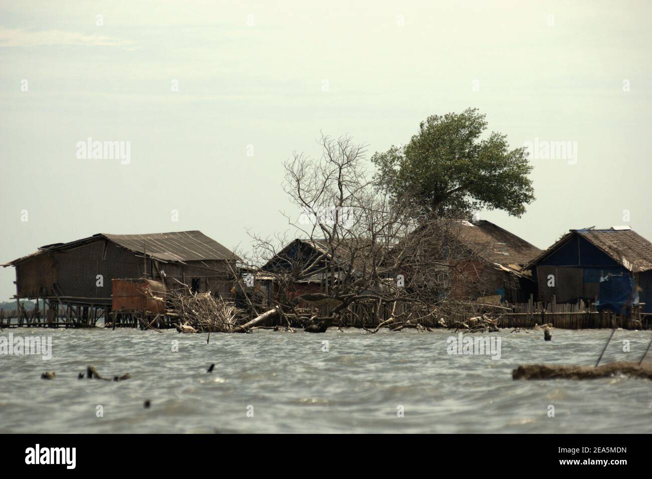 Stilt houses on coastal water, on the estuary of Jakarta floods canal ...