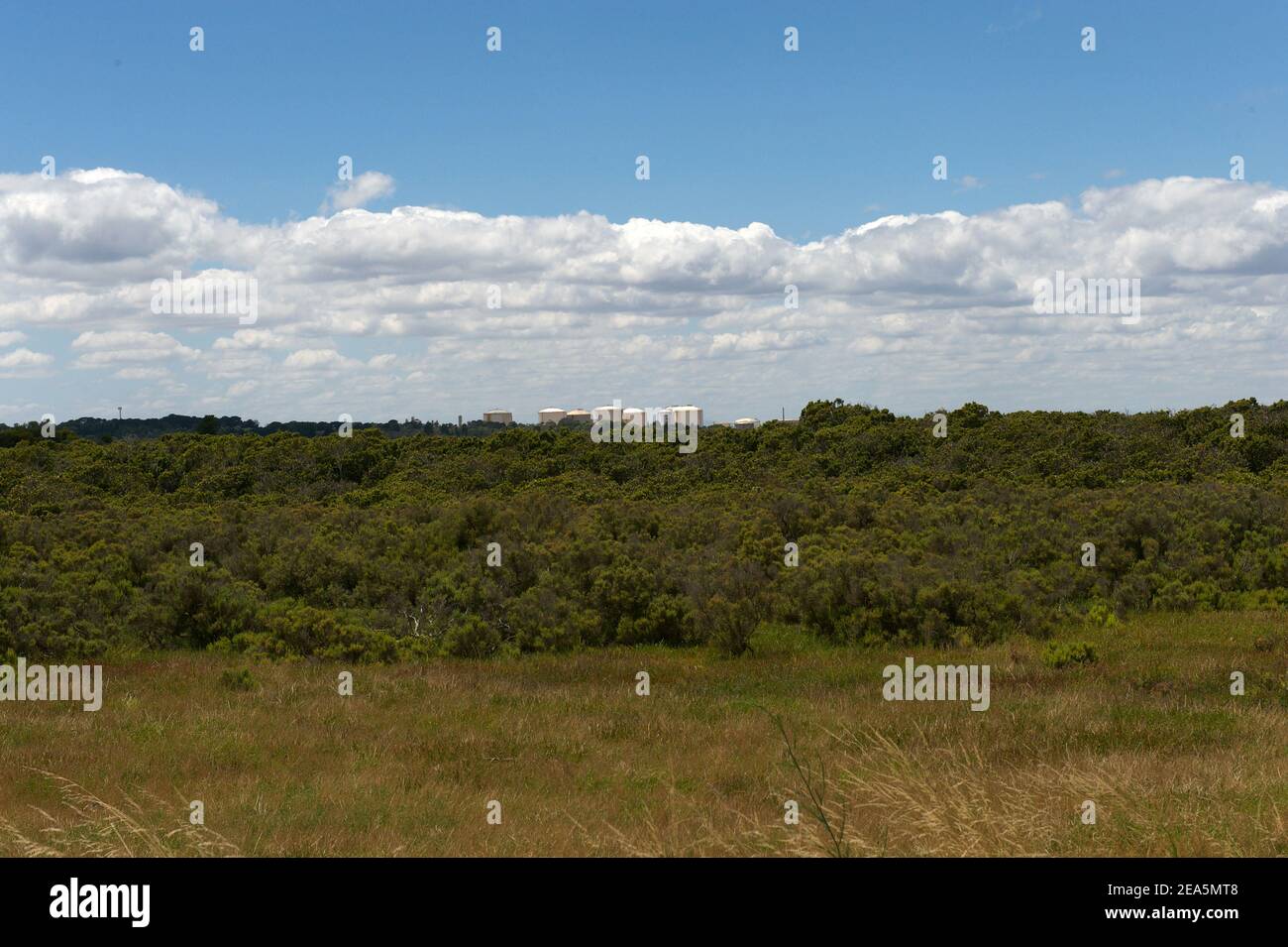 Australian coastal marshes hi-res stock photography and images - Alamy