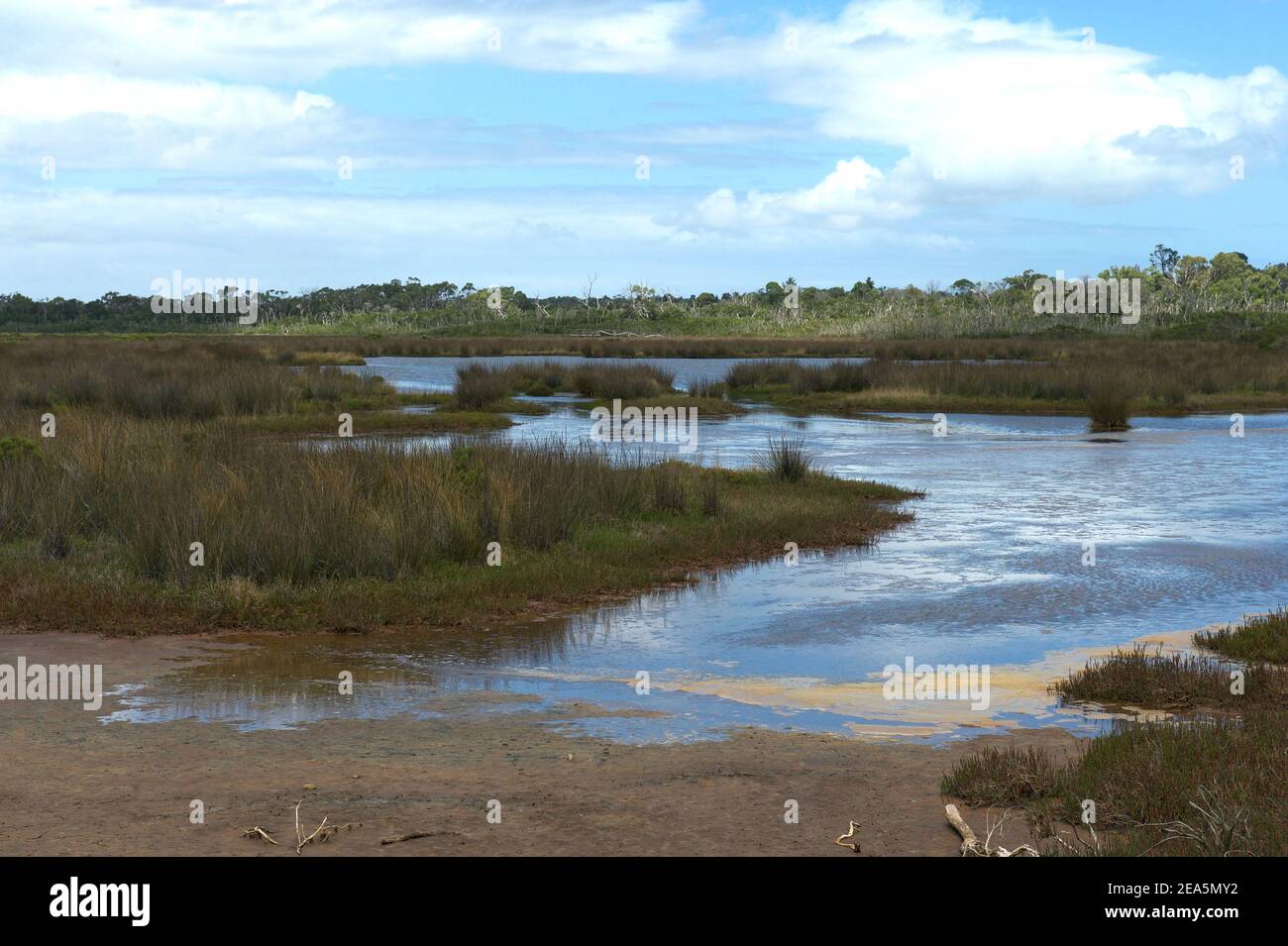Australian coastal marshes hi-res stock photography and images - Alamy