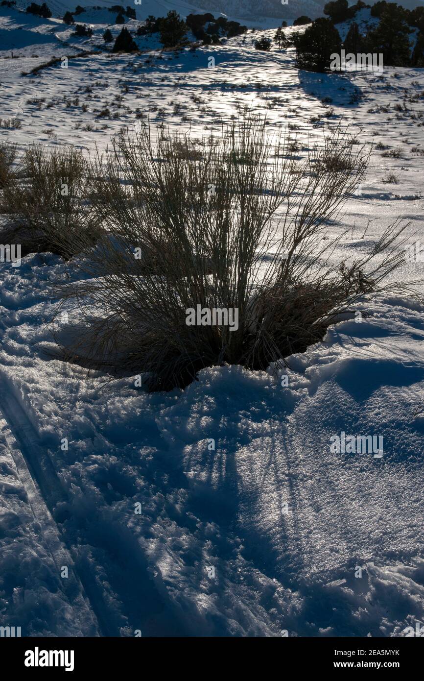 Hot Creek Geological Site is a famous landmark in Mono County. The hot ...