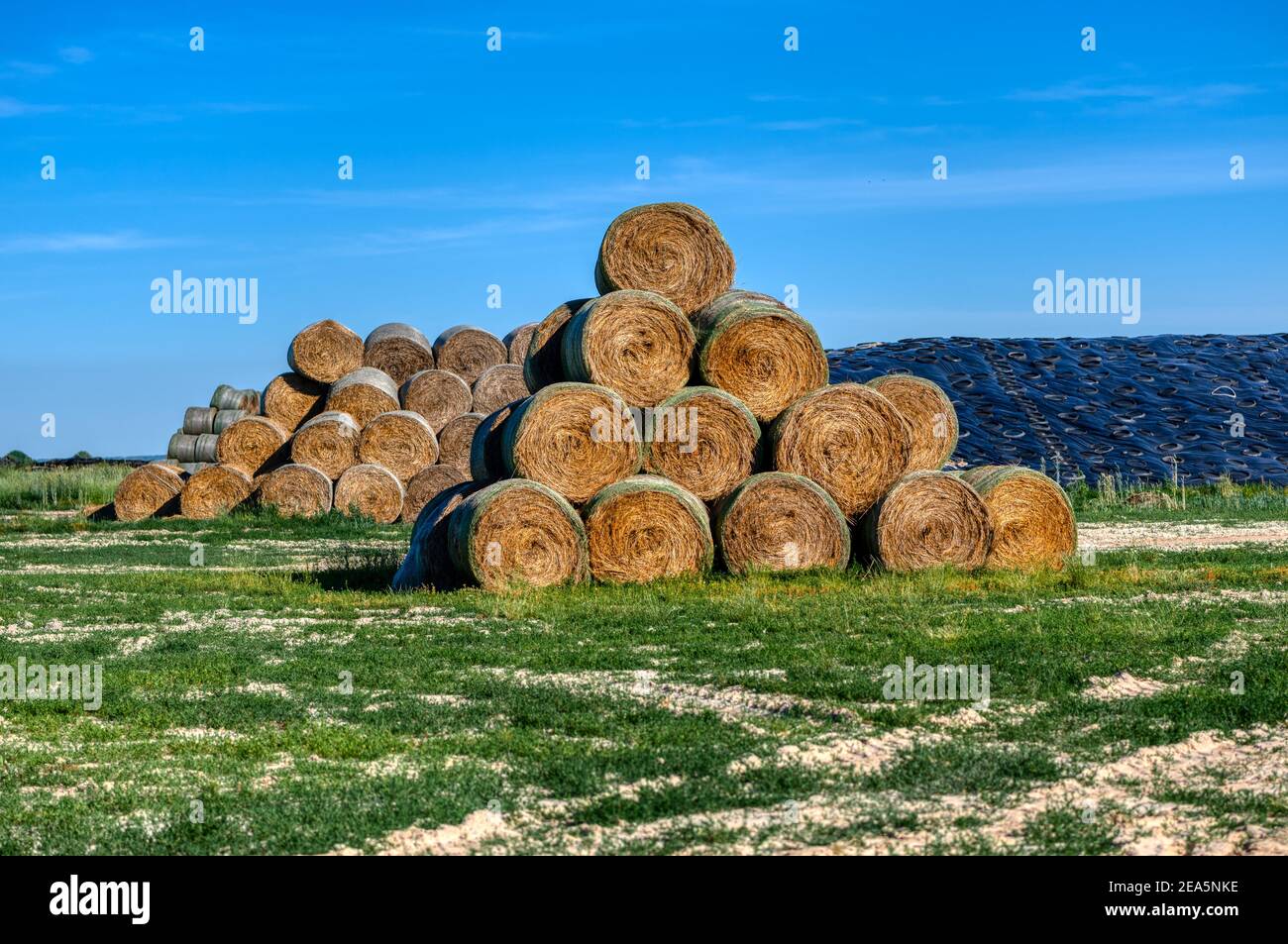 Large straw bales stacked hi-res stock photography and images - Alamy