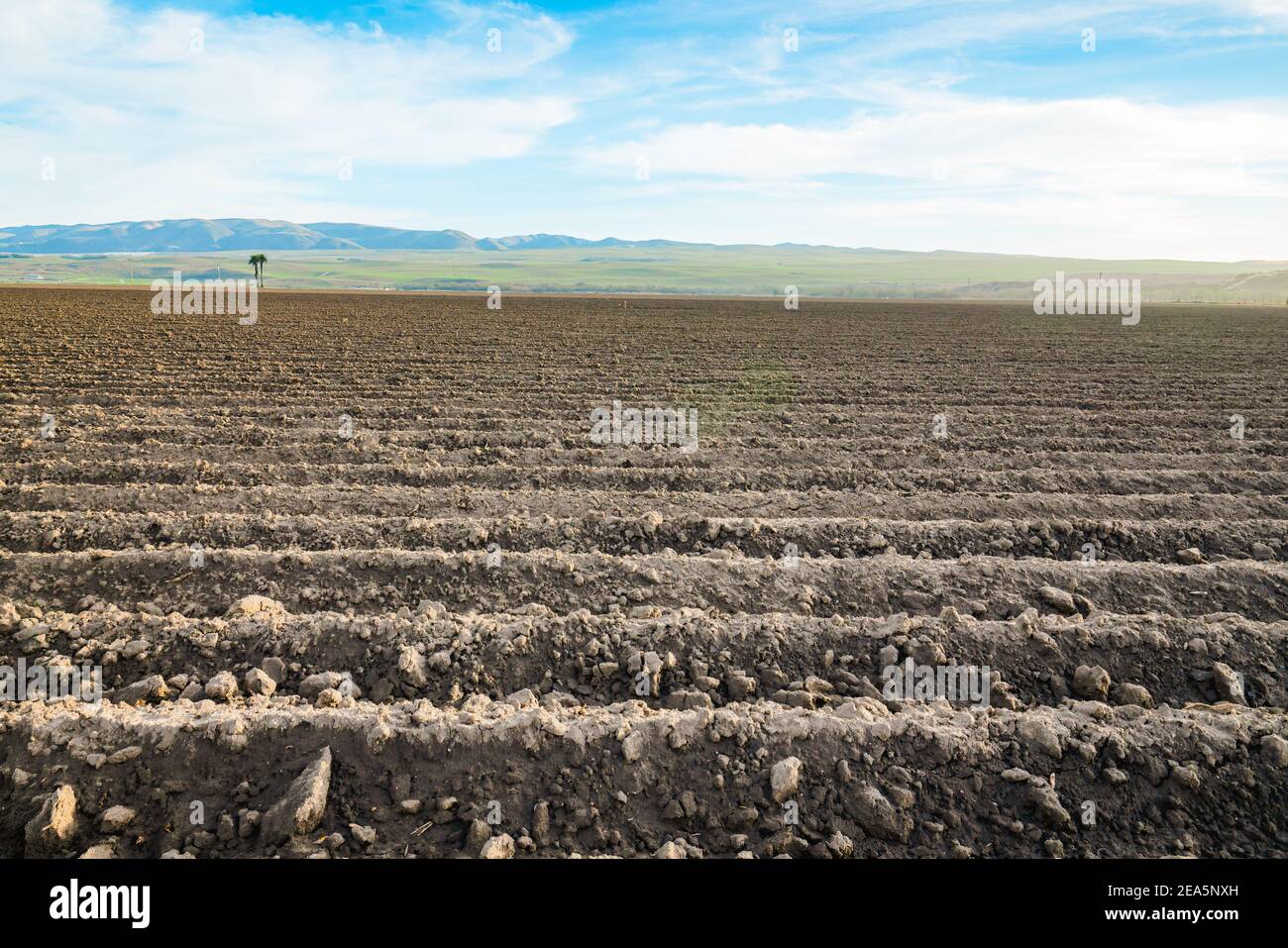 Ploughed agricultural field. Rows or beds prepared for sowing, ready ...