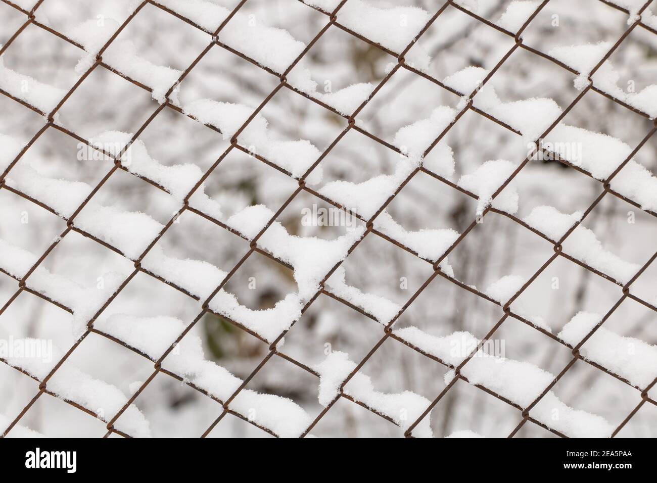 Snow covered mesh netting hi-res stock photography and images - Alamy
