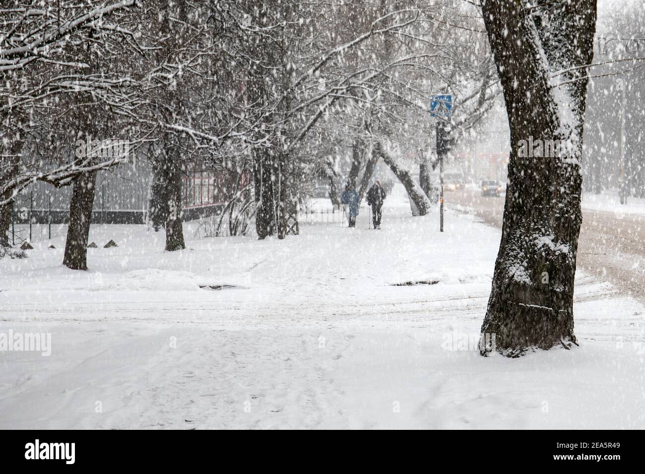 Snowfall on city streets. People move along the sidewalk. Snowstorm and ...
