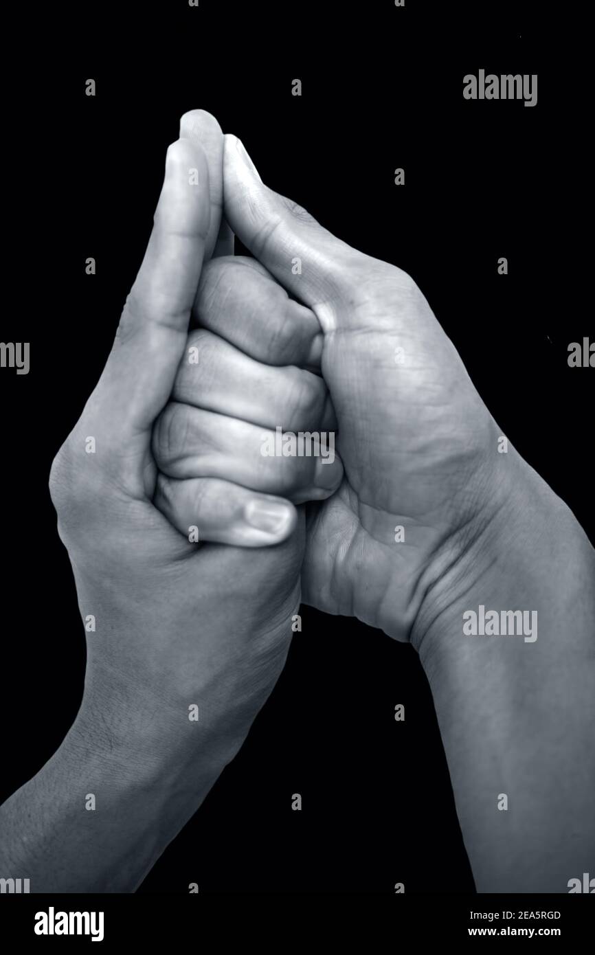 Shot of male hands doing Shankh mudra isolated on black background ...