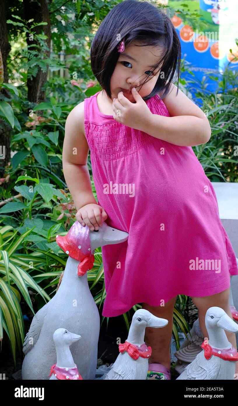 adorable, asian, attractive, baby, beautiful, beauty, caucasian, child ...