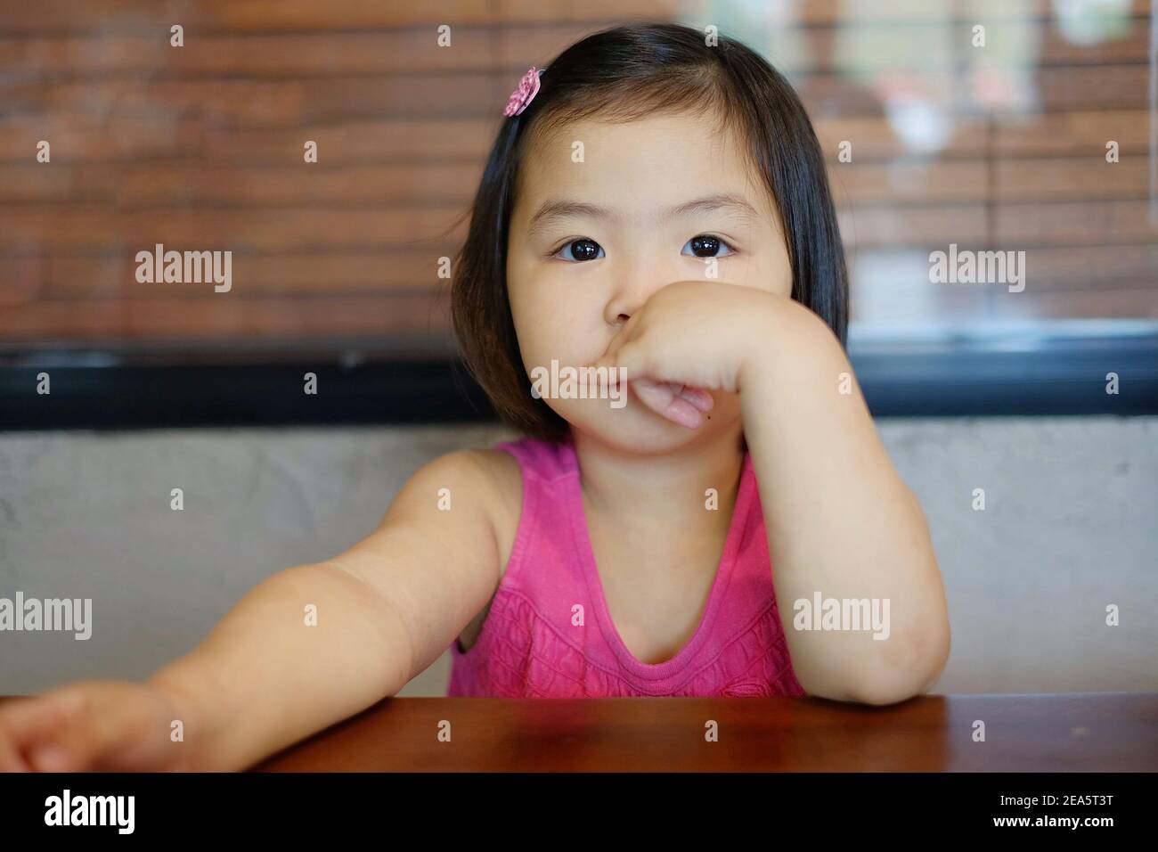 adorable, alone, attractive, background, beautiful, brunette, chair ...