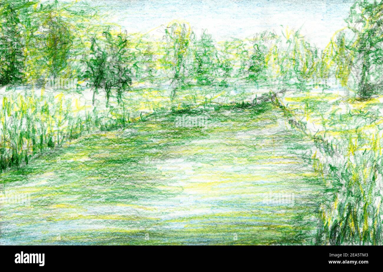 Green landscape. Trees around a river in the park. Creative background ...