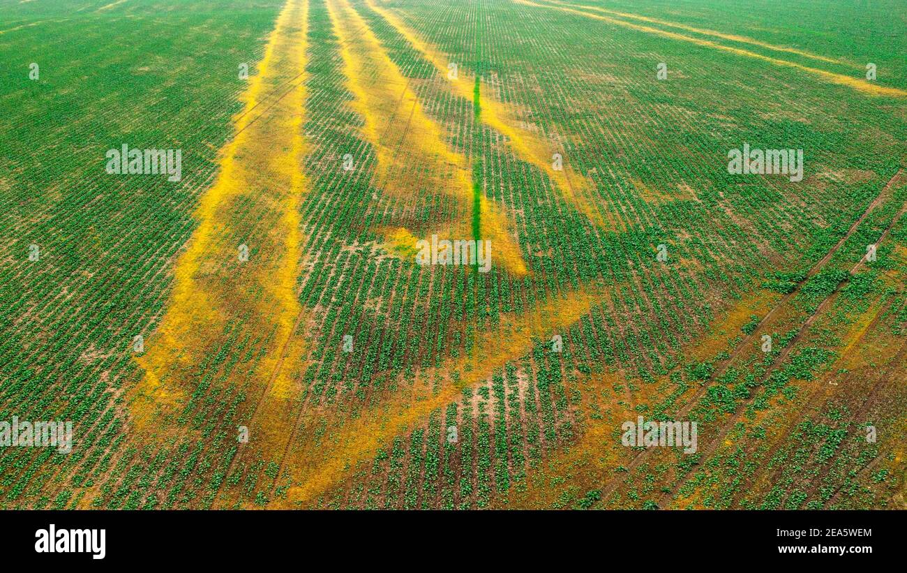 Improper agriculture hi-res stock photography and images - Alamy