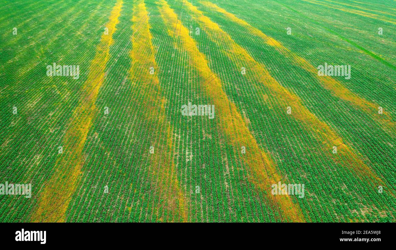 Improper agriculture hi-res stock photography and images - Alamy