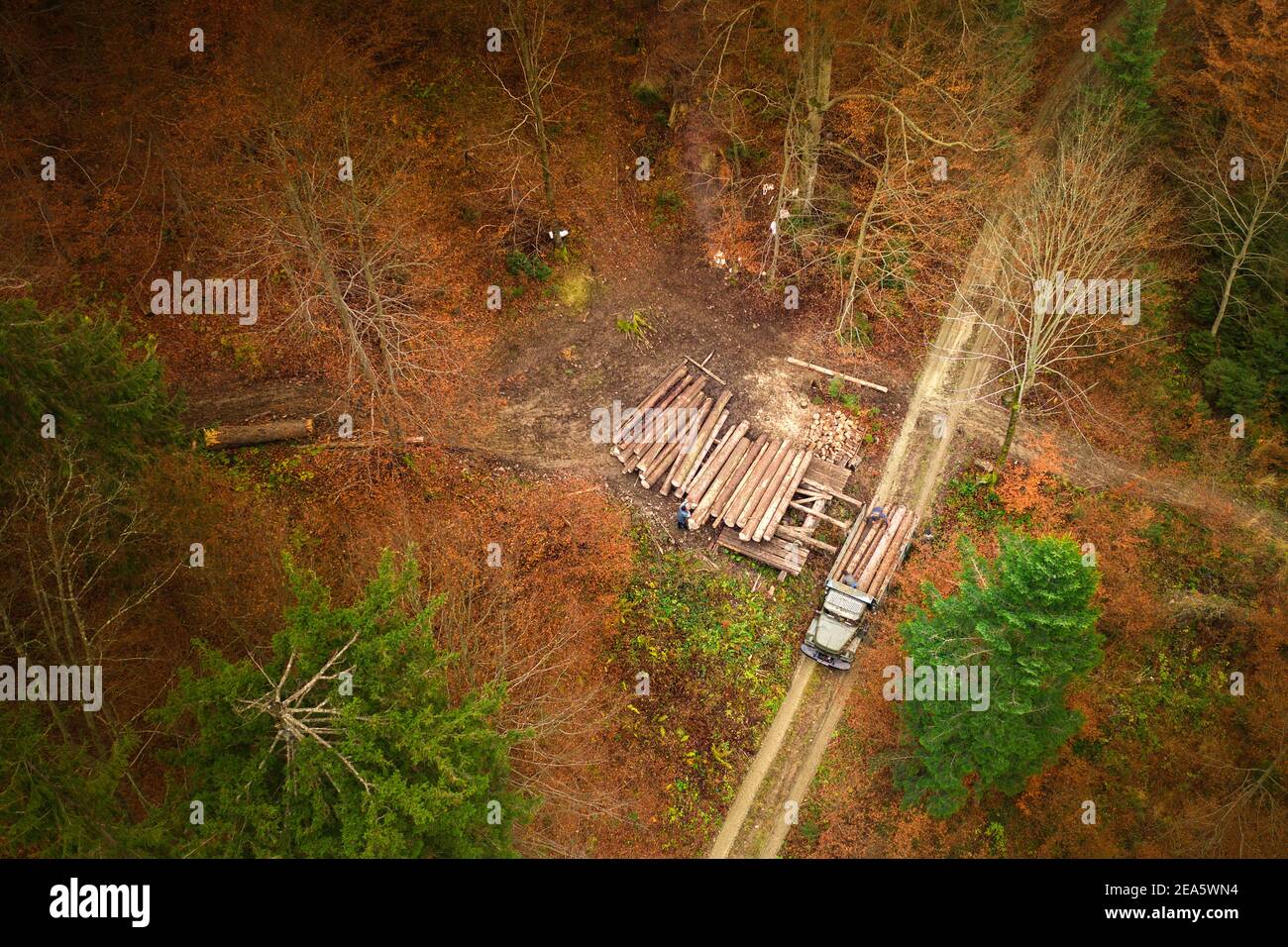 Amazon rainforest deforestation logs hi-res stock photography and ...