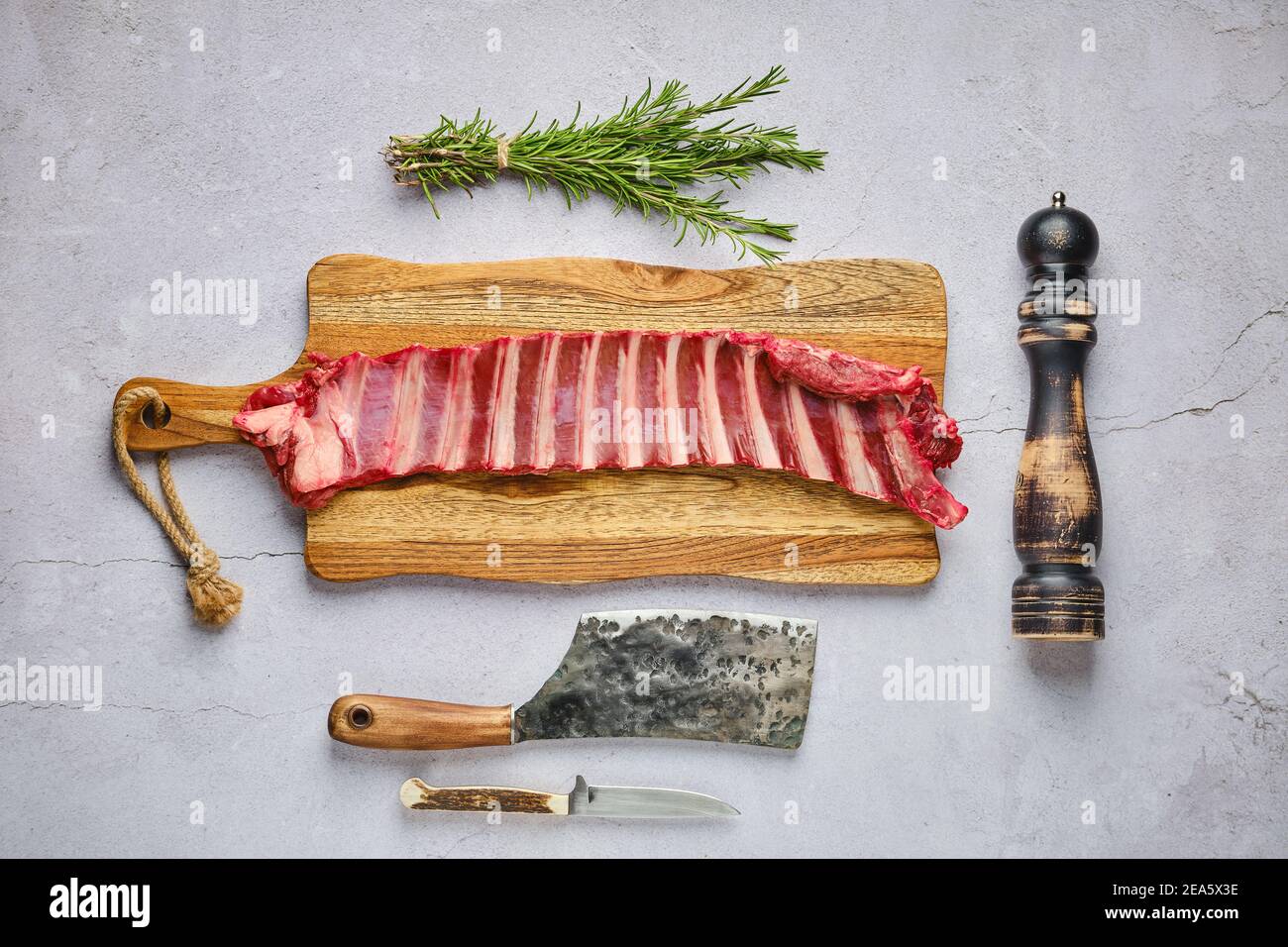 Deer ribs hi-res stock photography and images - Alamy