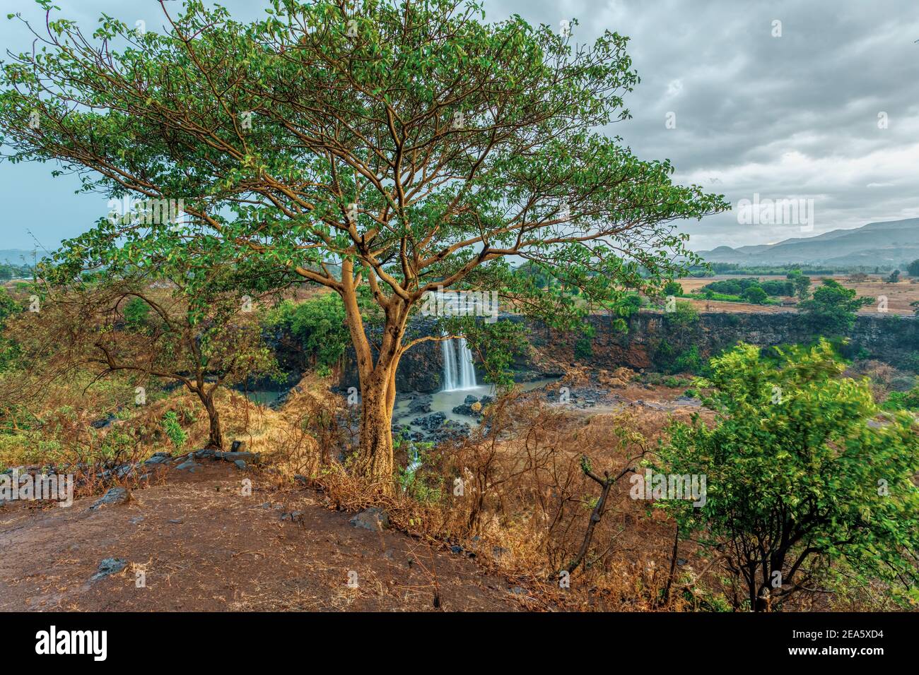 Blue Nile waterfalls in dry season. Fall on the Blue Nile river. Nature ...