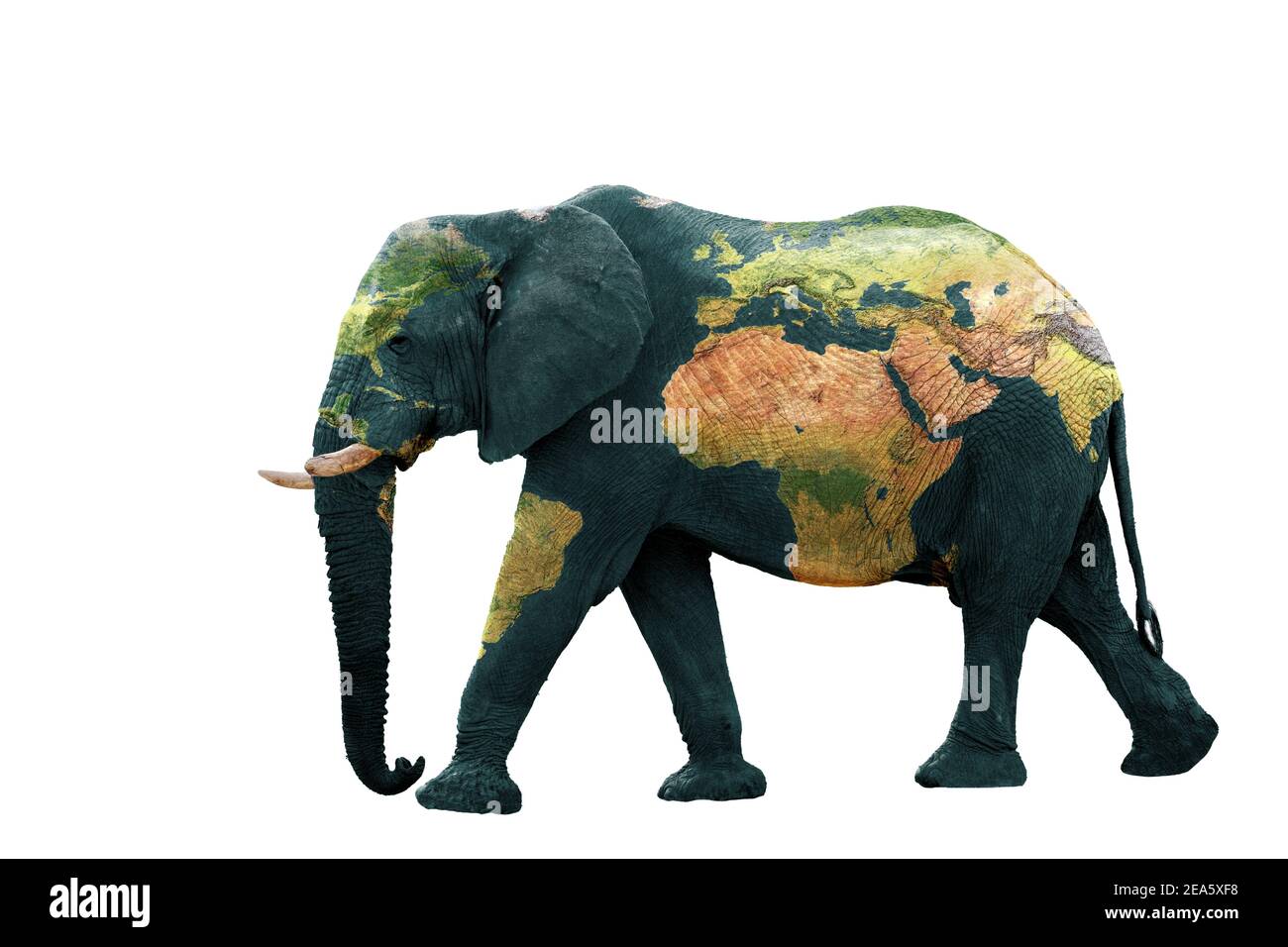 Earth concept, save the animals on planet. Isolated image of elephant ...